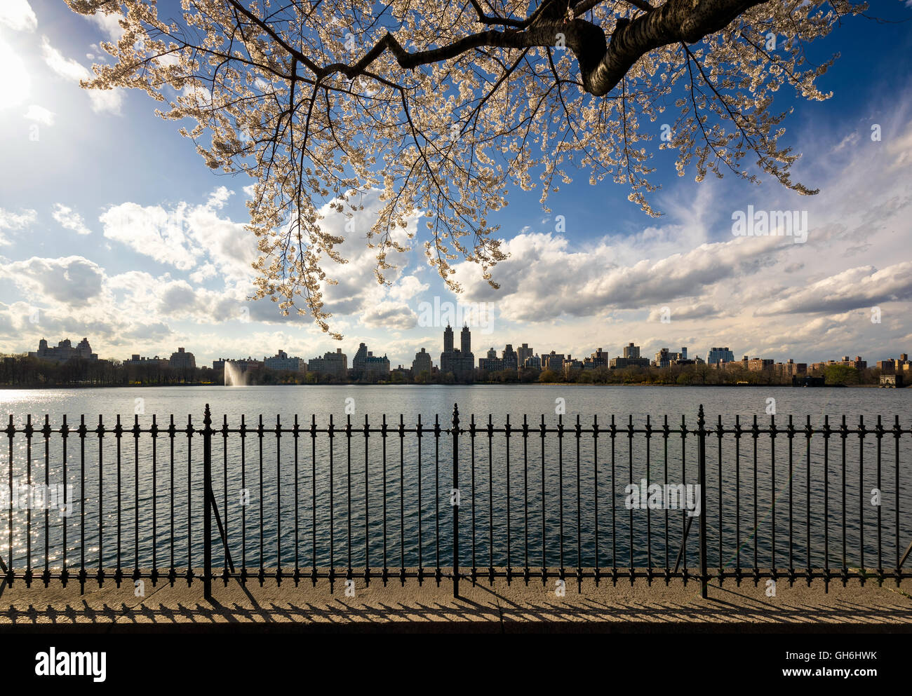 New york central park spring hi-res stock photography and images - Alamy