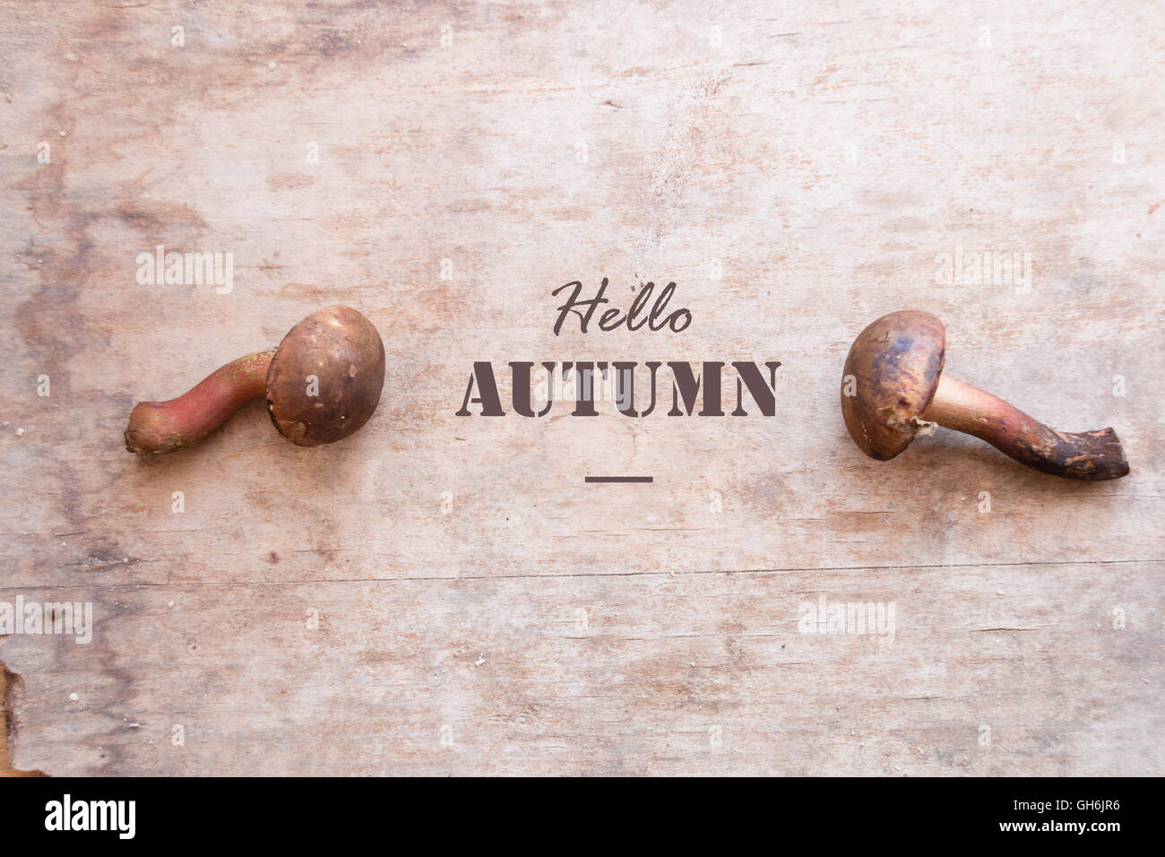 Hello autumn food hi-res stock photography and images - Alamy