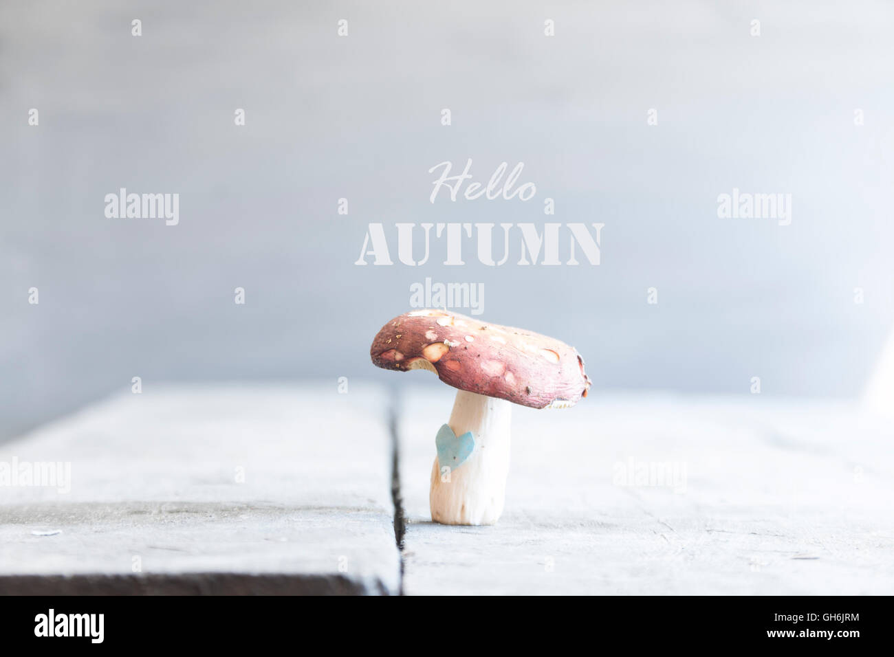 Hello september text autumn hi-res stock photography and images - Alamy