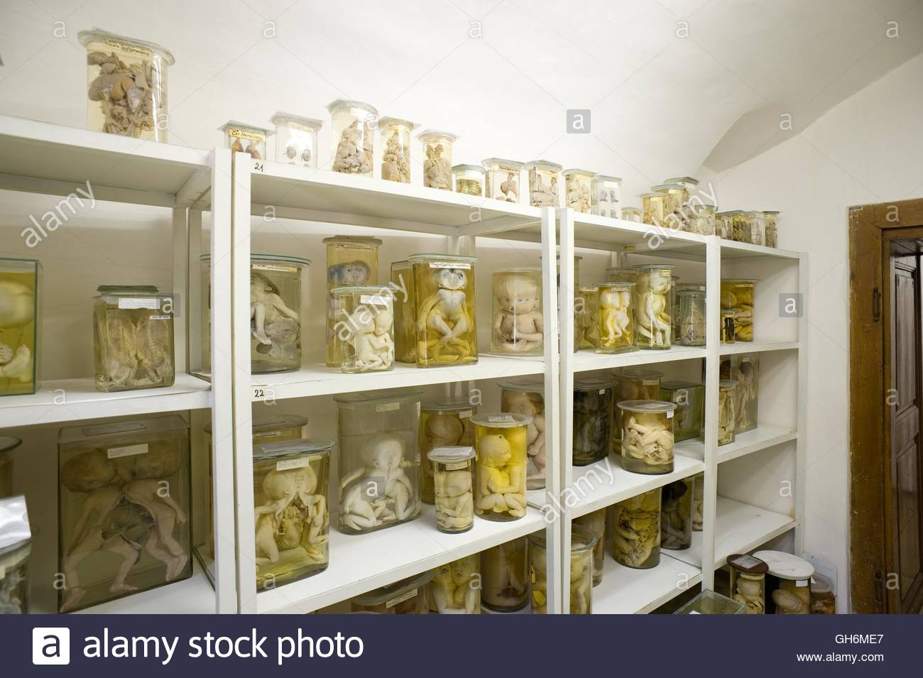 Narrenturm Vienna Stock Photos & Narrenturm Vienna Stock Images - Alamy