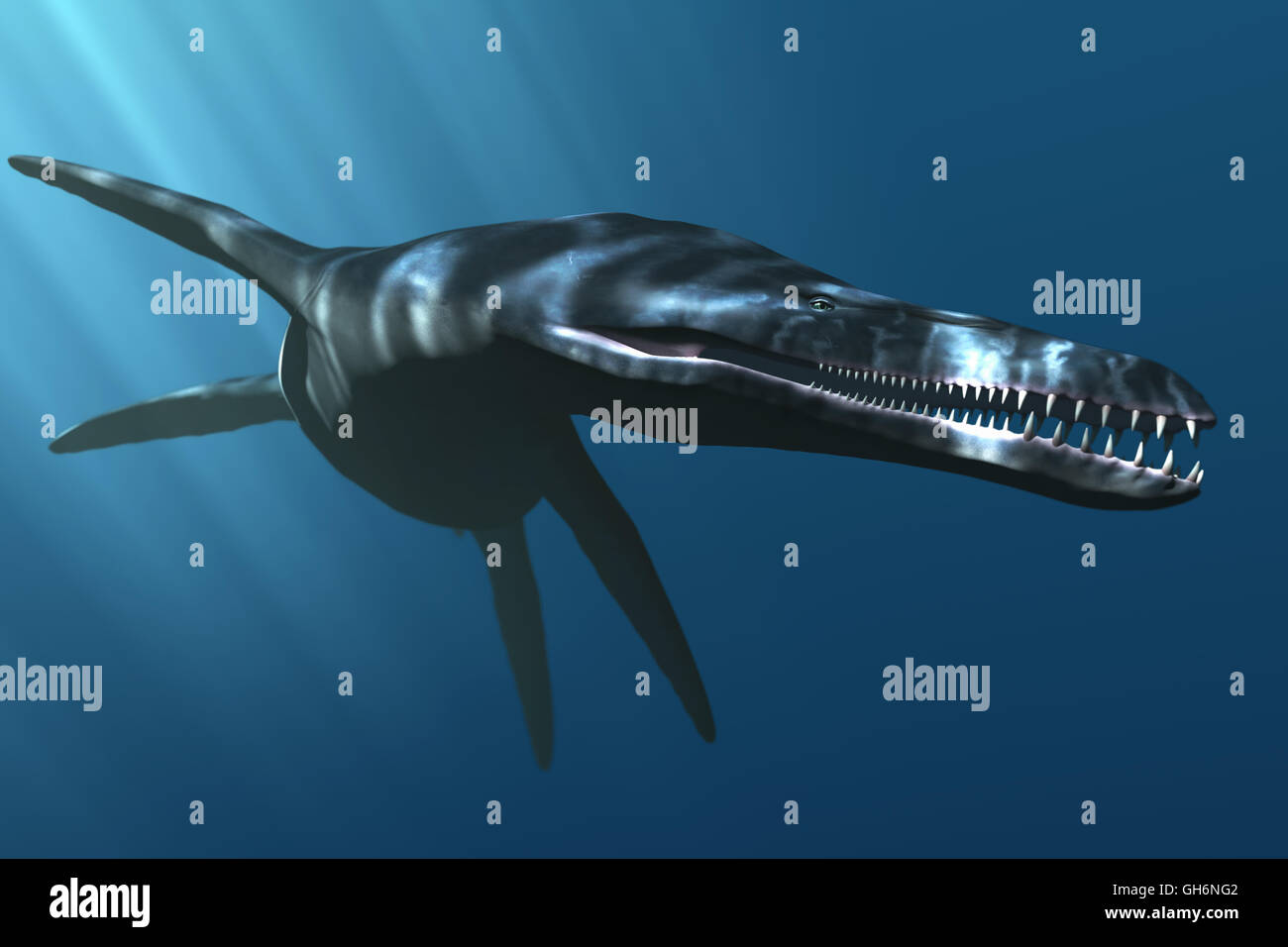 Pliosaurus macromerus Stock Photo - Alamy