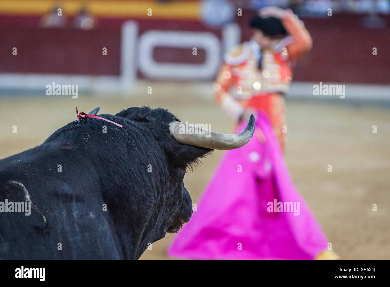 Female bullfighter hi-res stock photography and images - Alamy