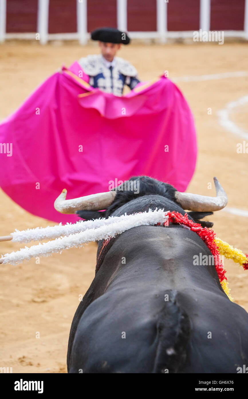Bullfighter with the capote or cape, Spain Stock Photo - Alamy