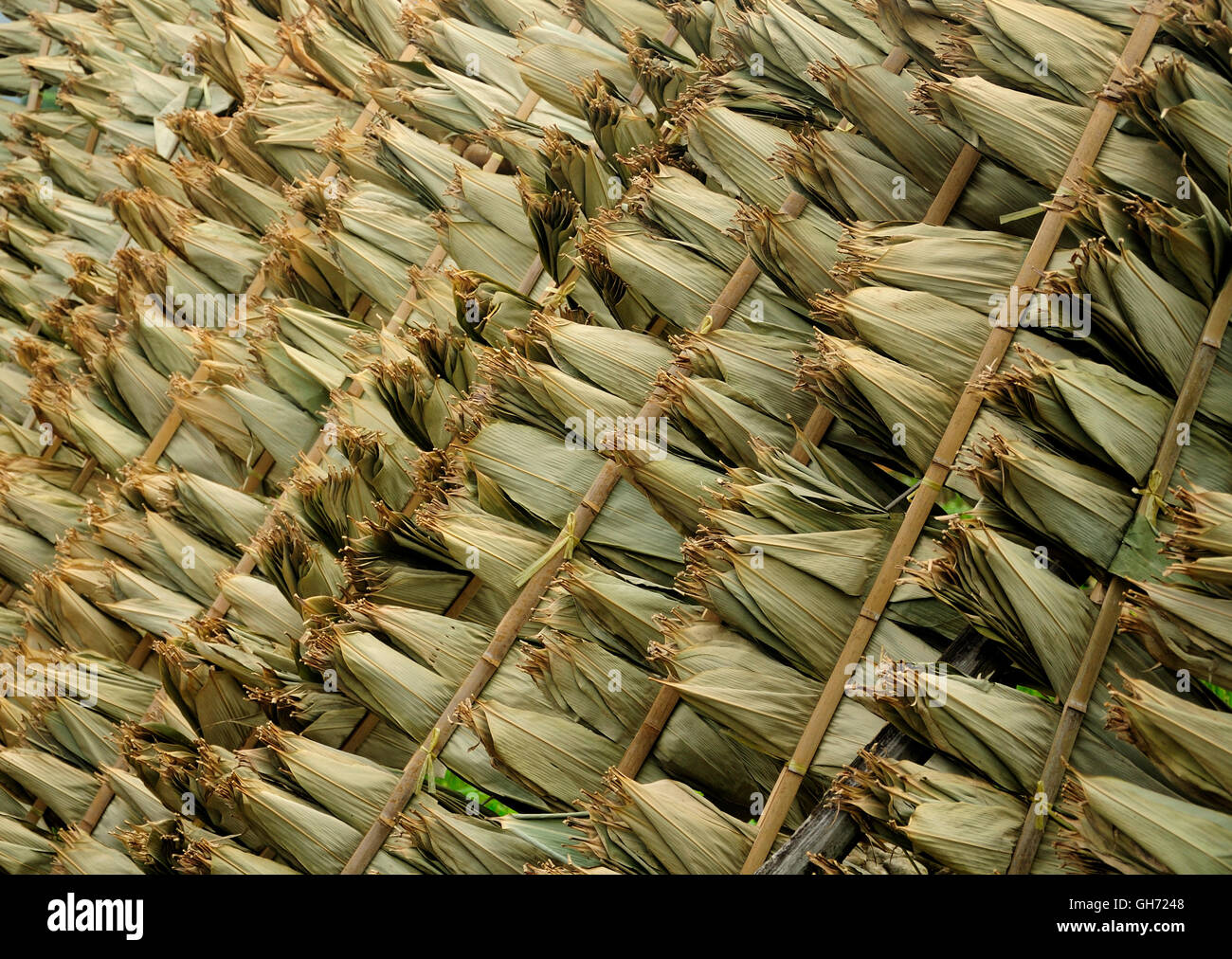 Dried corn husks drying outside on a bamboo rack used for a chinese ...