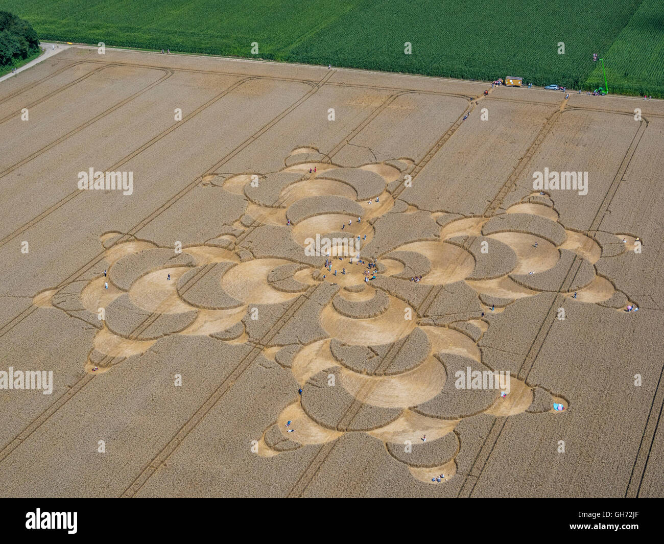 Crop circle in a cornfield at Mammendorf, Upper Bavaria, Bavaria ...