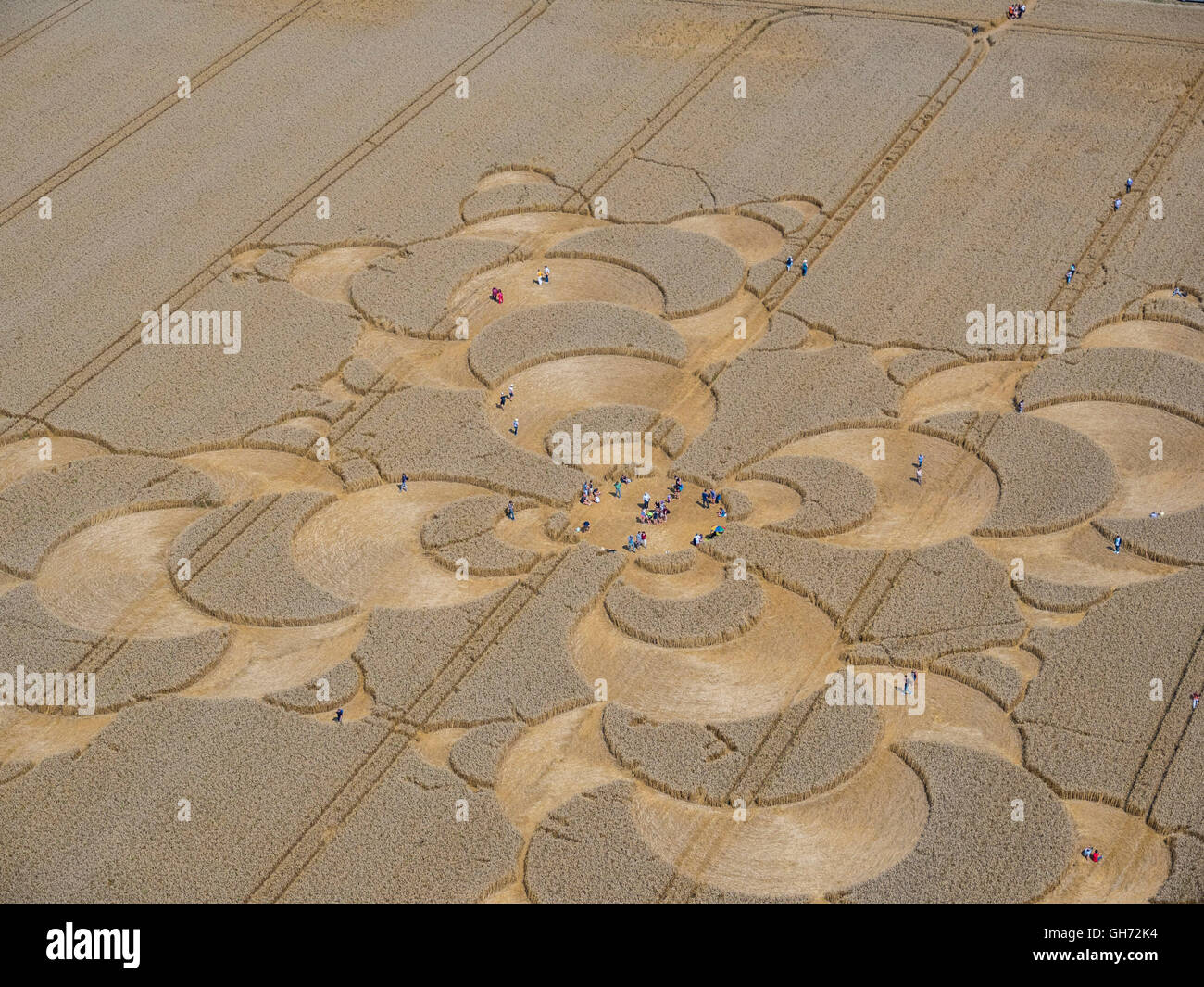 Crop circle in a cornfield at Mammendorf, Upper Bavaria, Bavaria ...
