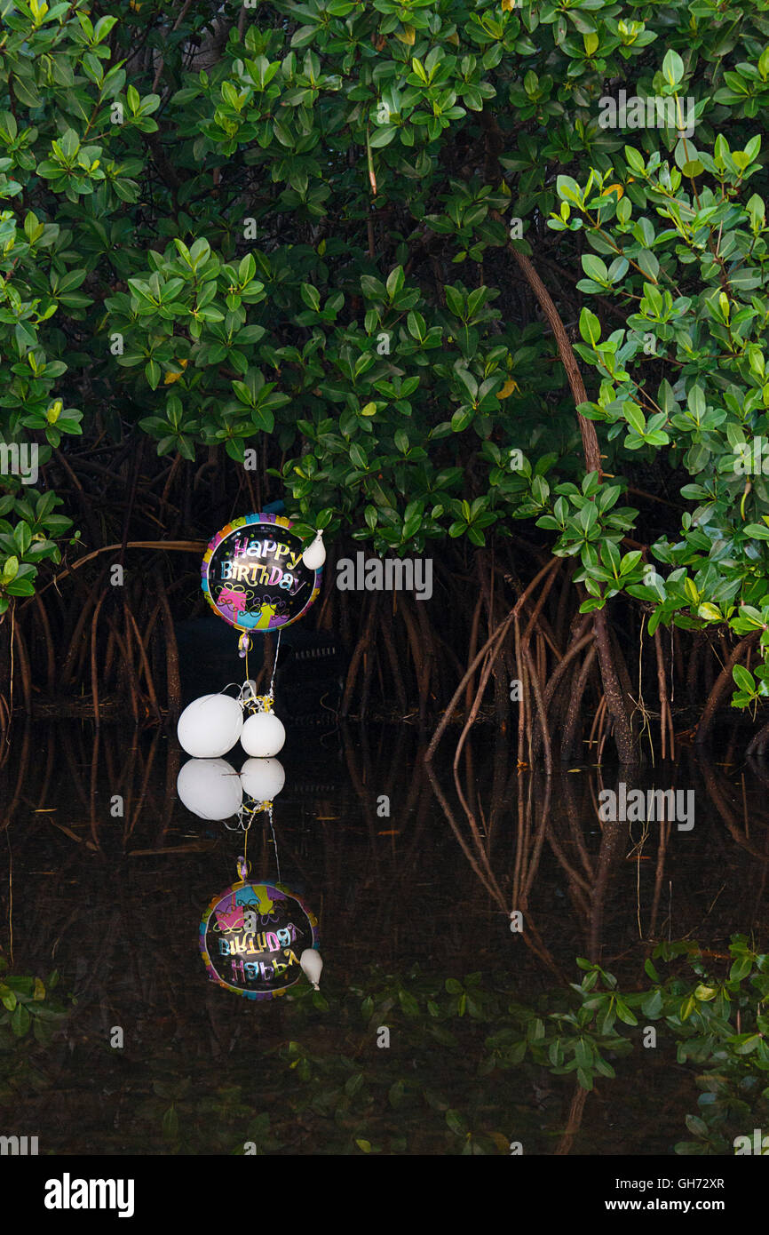 Balloon pollution hi-res stock photography and images - Alamy