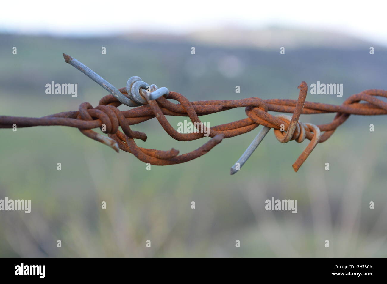 rusted wire fence Stock Photo - Alamy