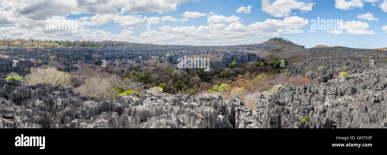 Tsingy Rock in Ankarana National Park, Madagaacsar Stock Photo - Alamy