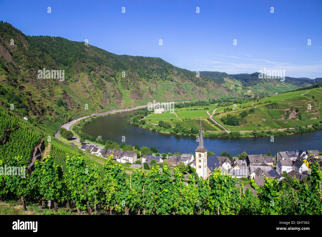 View of Bremm at the Mosel with Moselschleife Stock Photo - Alamy