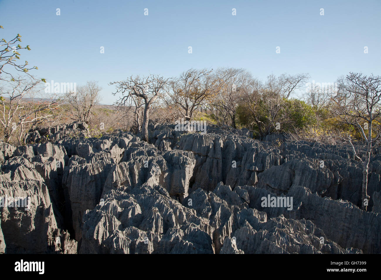Tsingy Rock in Ankarana National Park, Madagaacsar Stock Photo - Alamy