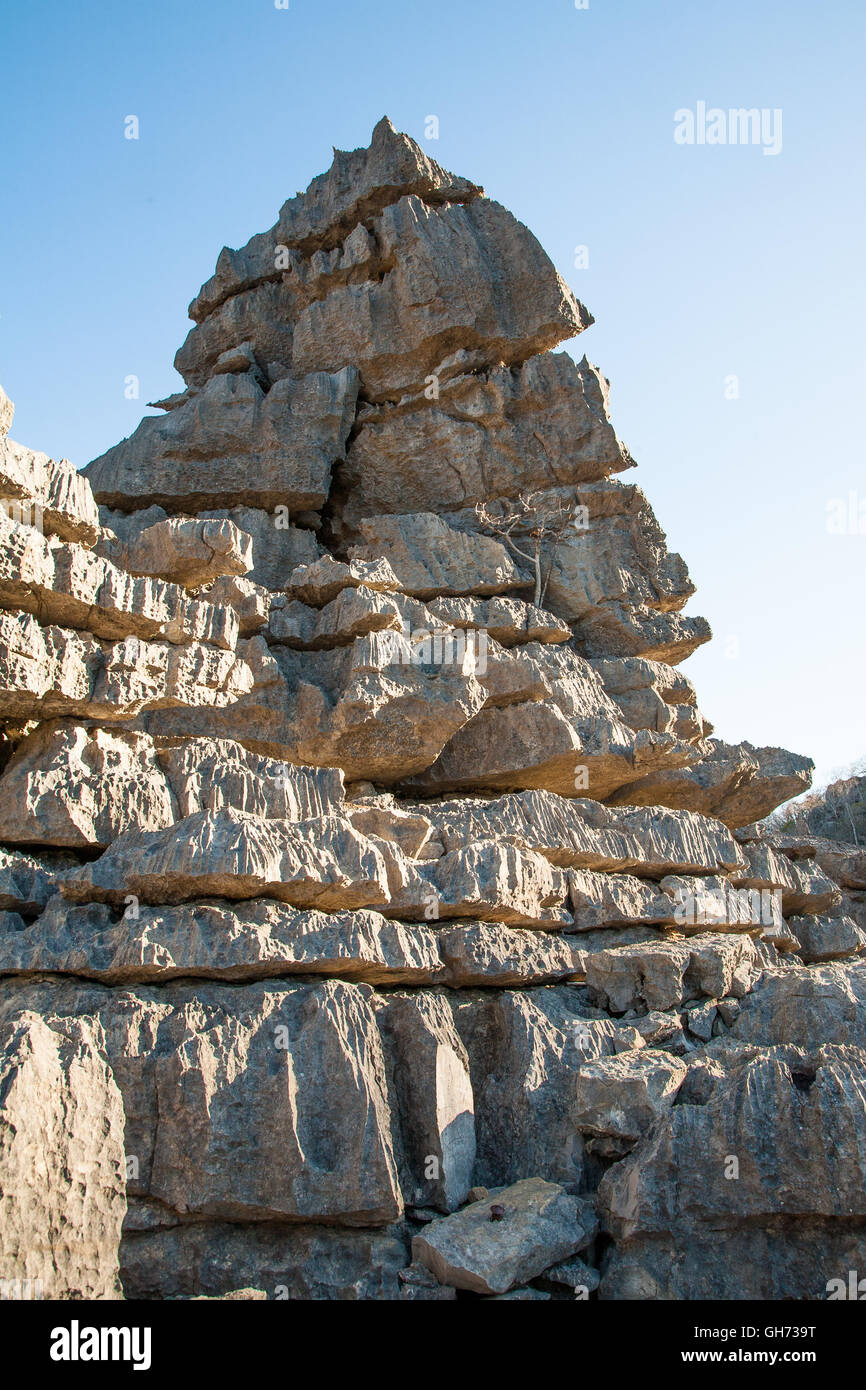 Tsingy Rock in Ankarana National Park, Madagaacsar Stock Photo - Alamy