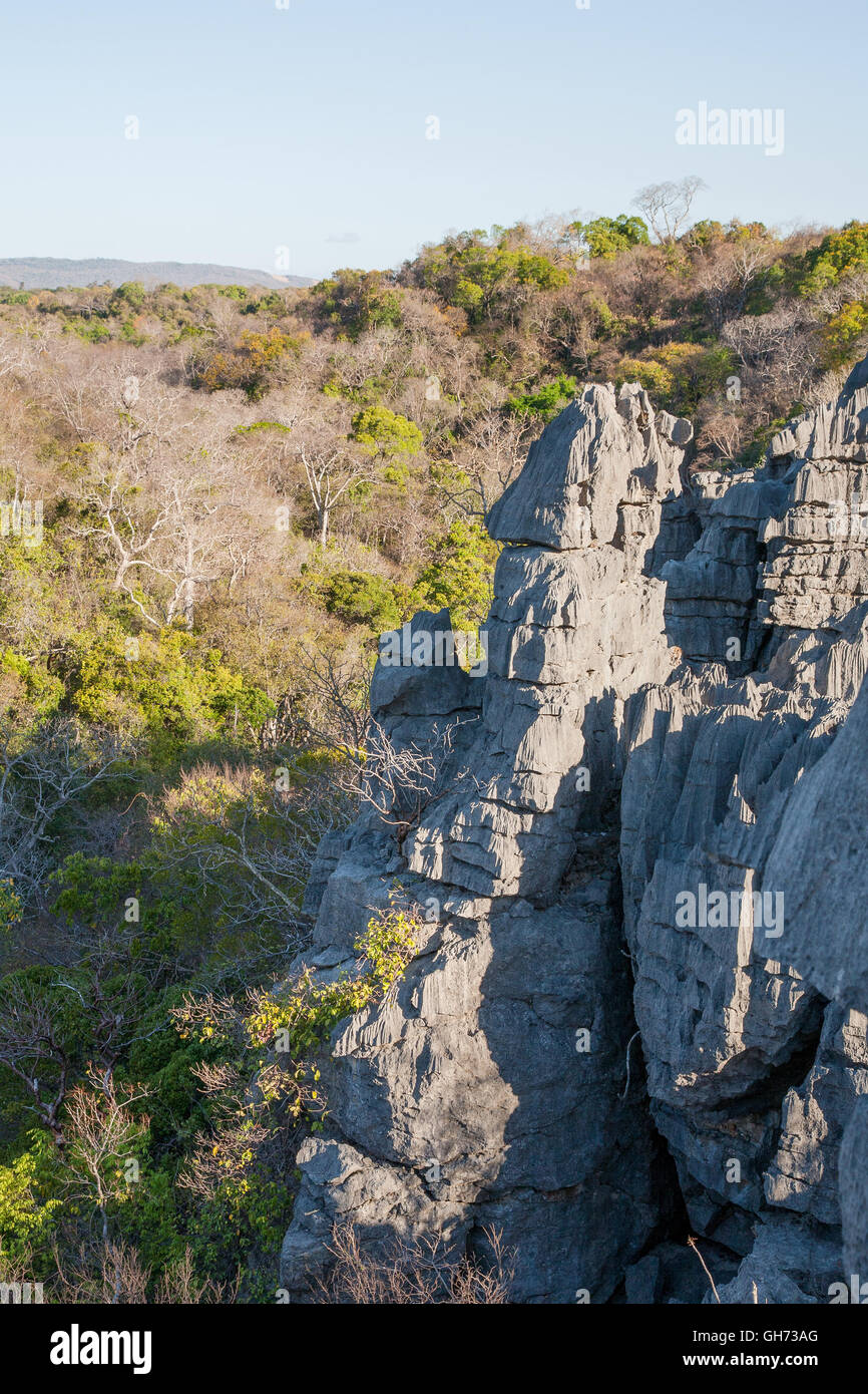Tsingy Rock in Ankarana National Park, Madagaacsar Stock Photo - Alamy