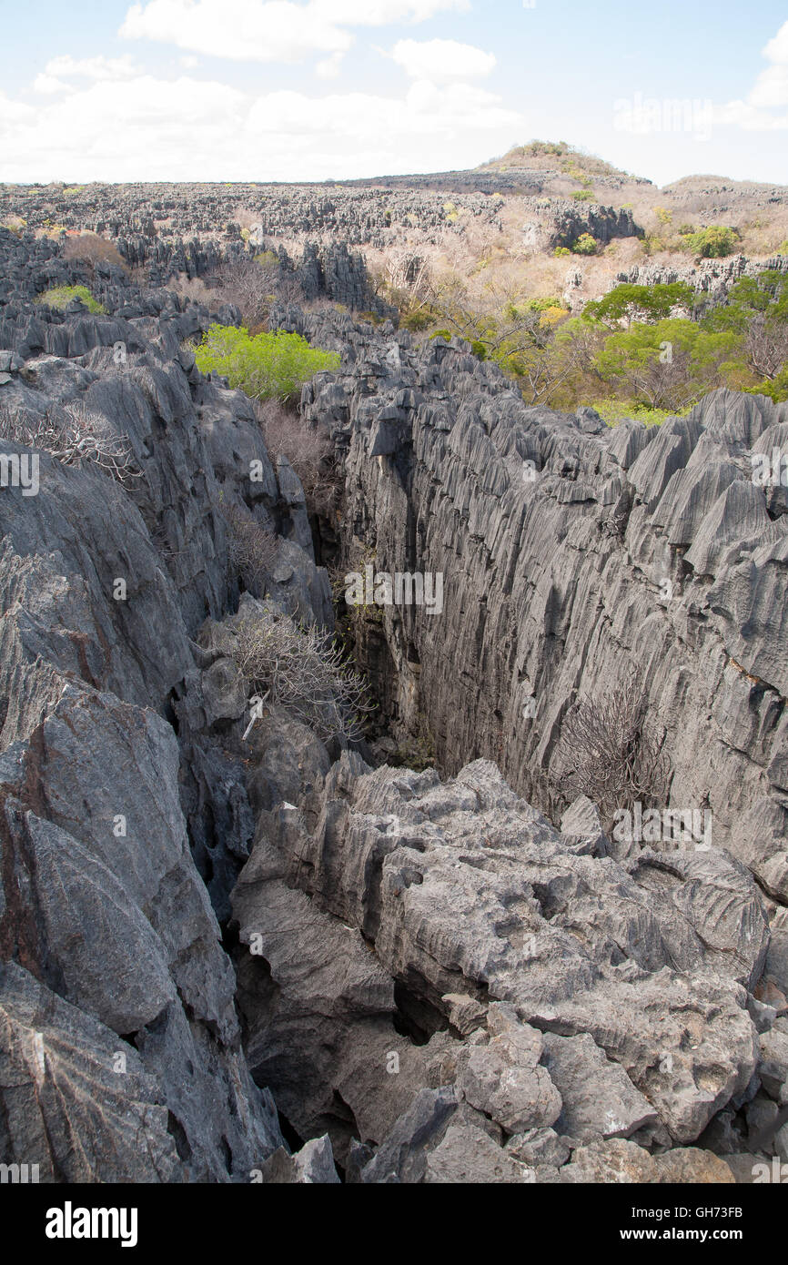 Tsingy Rock in Ankarana National Park, Madagaacsar Stock Photo - Alamy