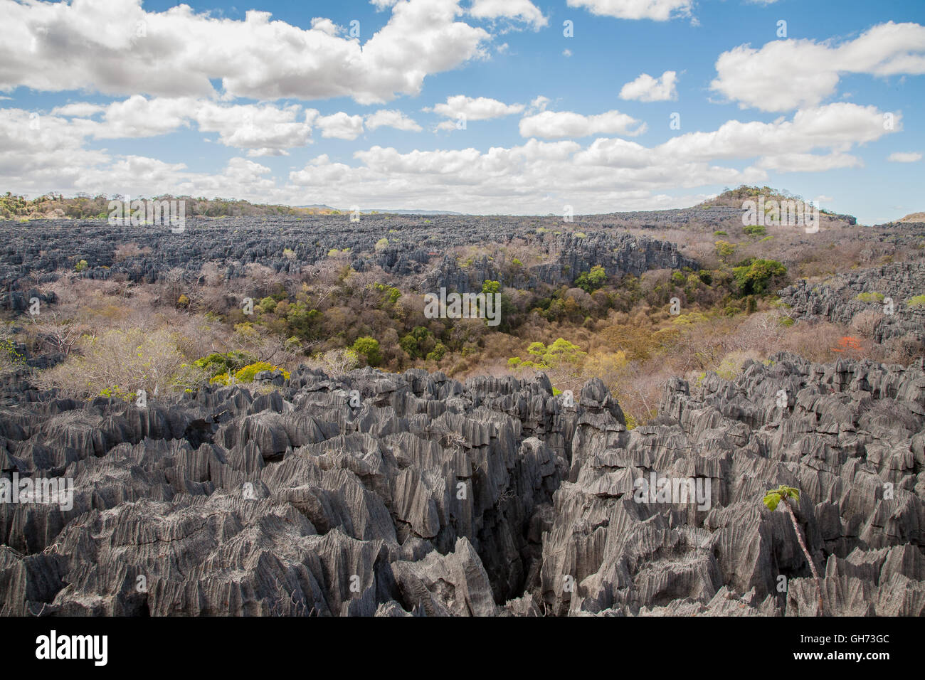 Tsingy Rock in Ankarana National Park, Madagaacsar Stock Photo - Alamy