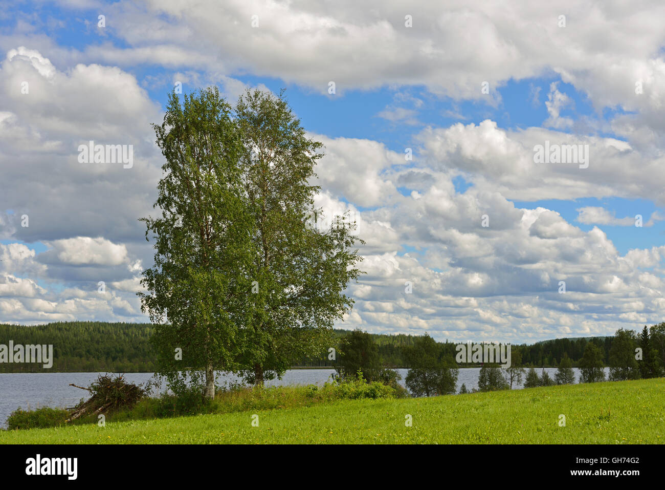 Summer landscape. Sunny day Stock Photo - Alamy