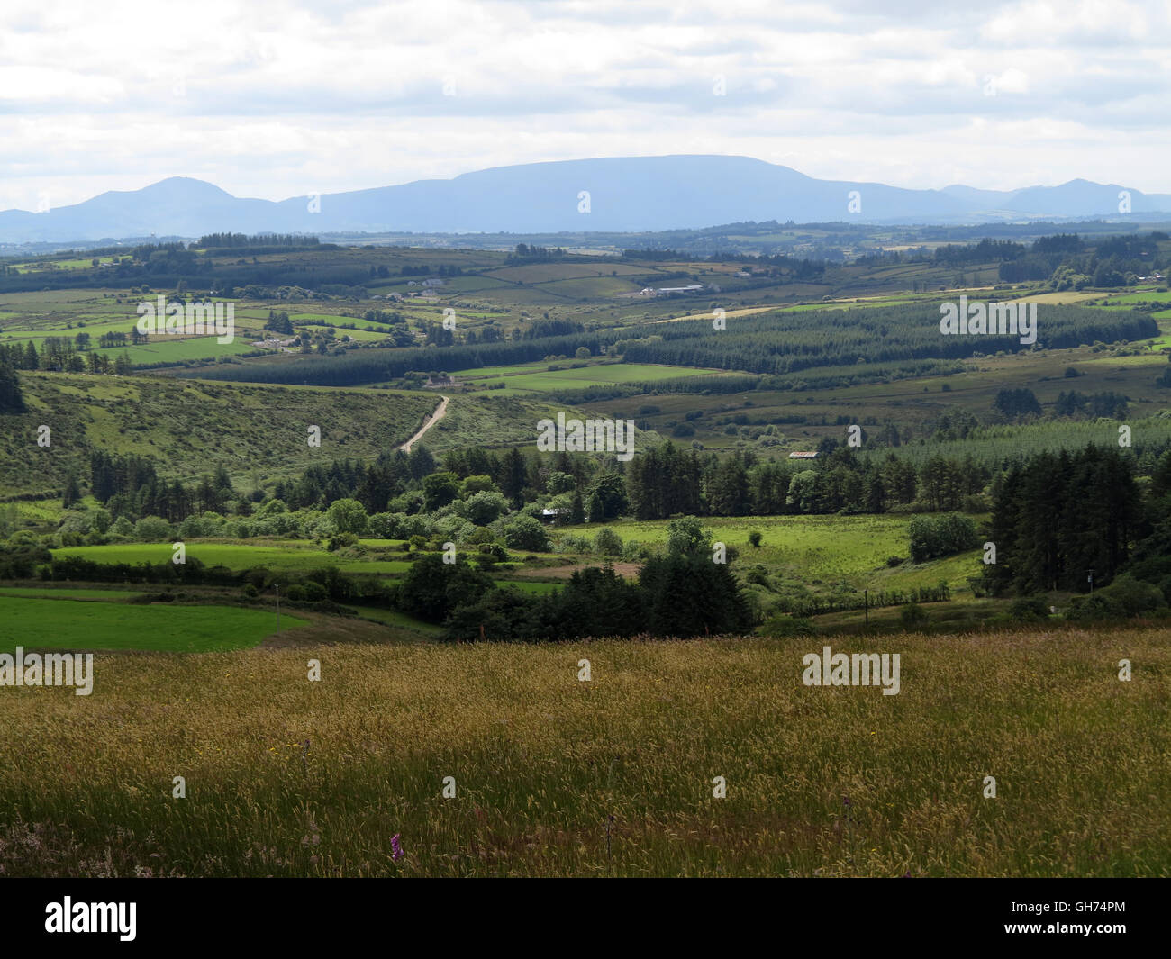 View of the Kerry mountains from Taur - County Cork - Ireland Stock ...