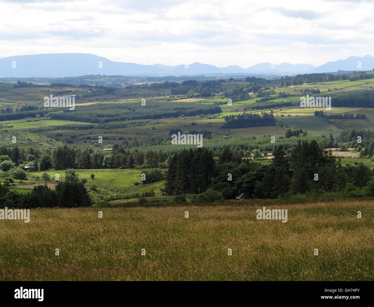 View of the Kerry mountains from Taur - County Cork - Ireland Stock ...