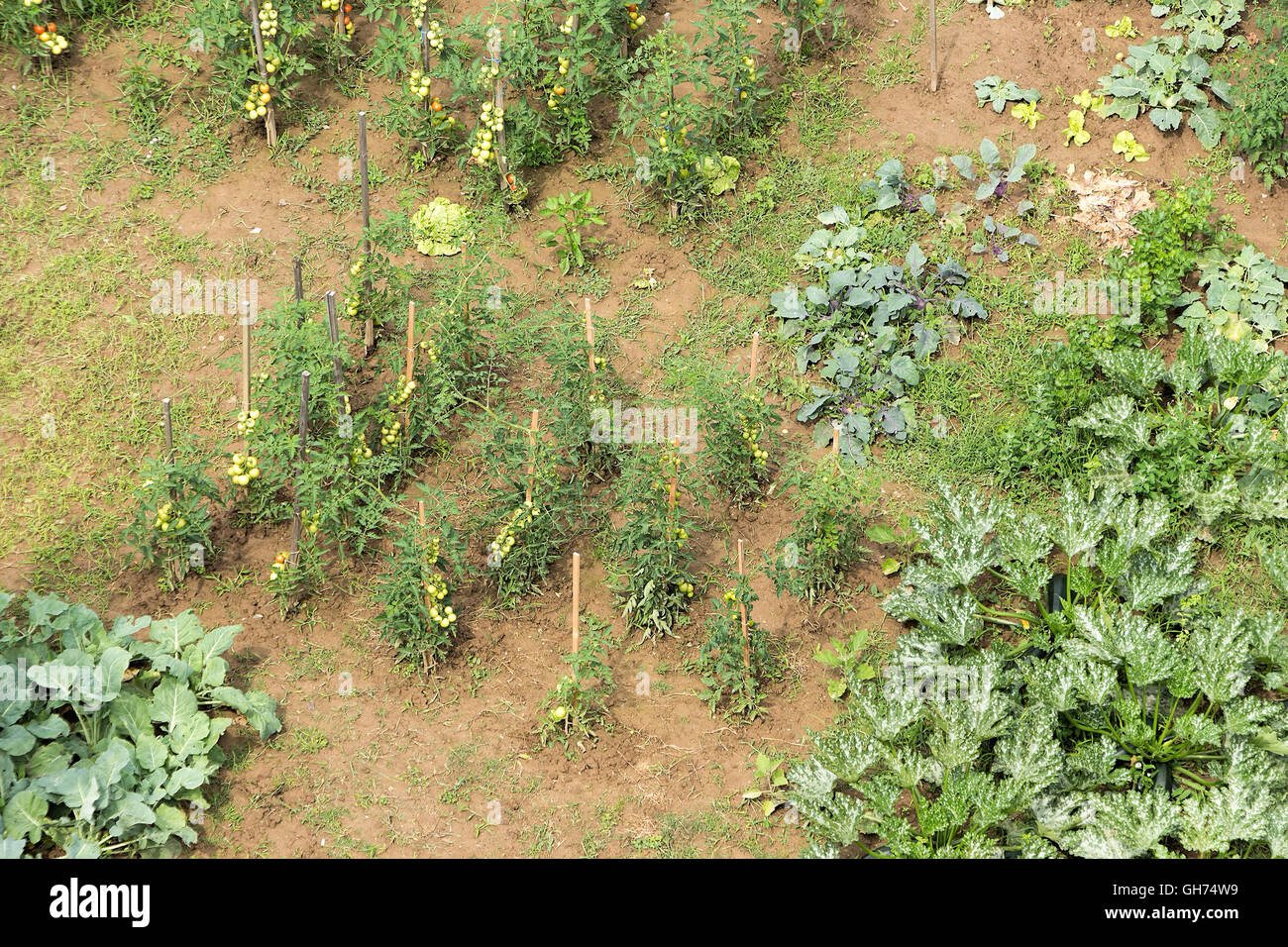 Vegetable Garden Aerial Stock Photos & Vegetable Garden Aerial Stock ...