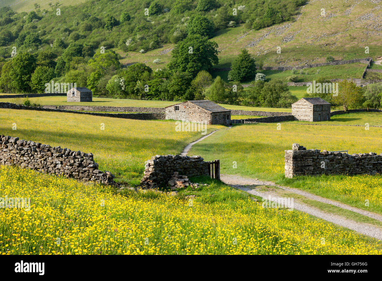 Traditional wildflower hay meadows hi-res stock photography and images ...