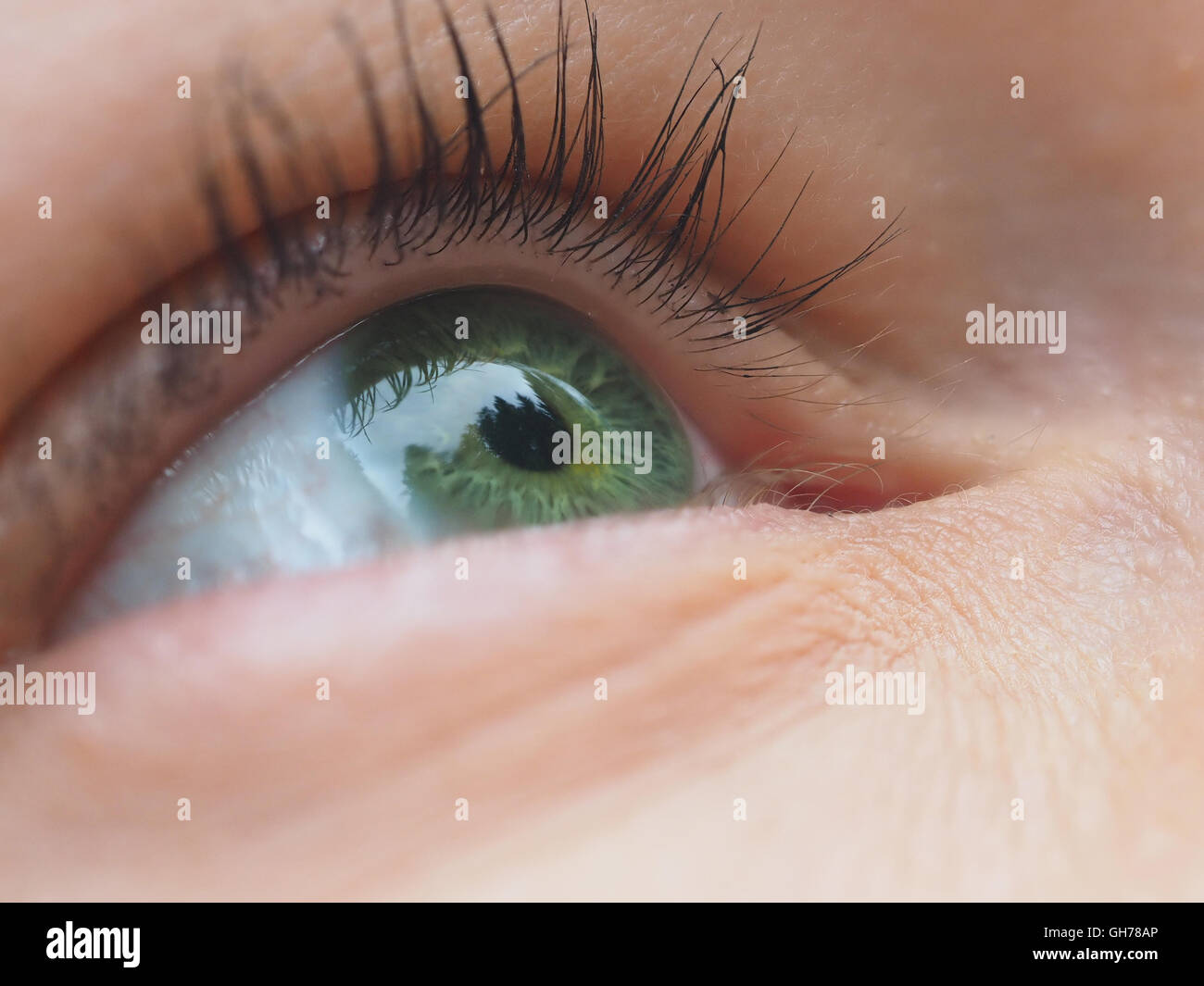 Human eye large Stock Photo - Alamy