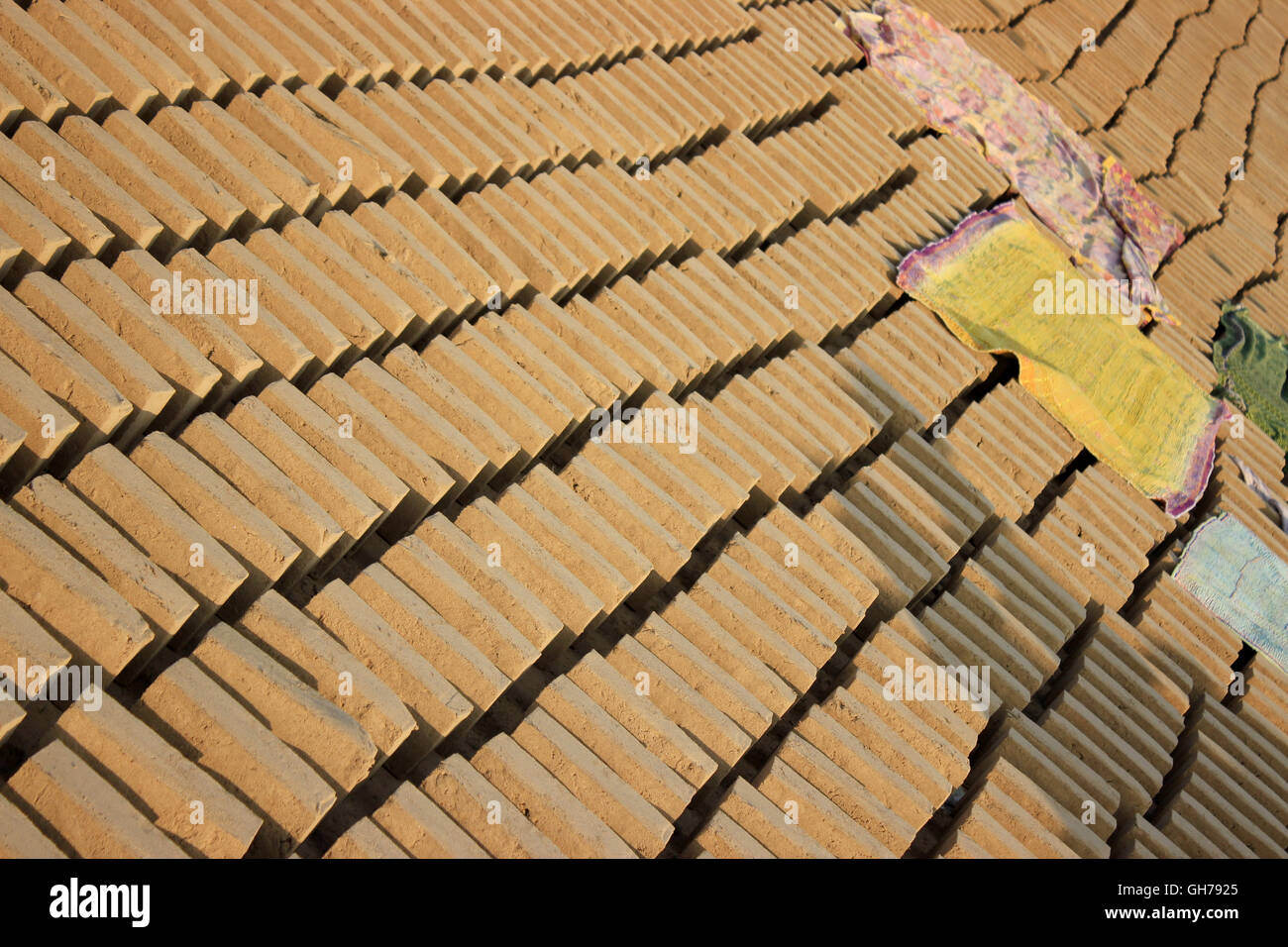 Pattern of bricks. Mud brick before burning on a workshop in India ...