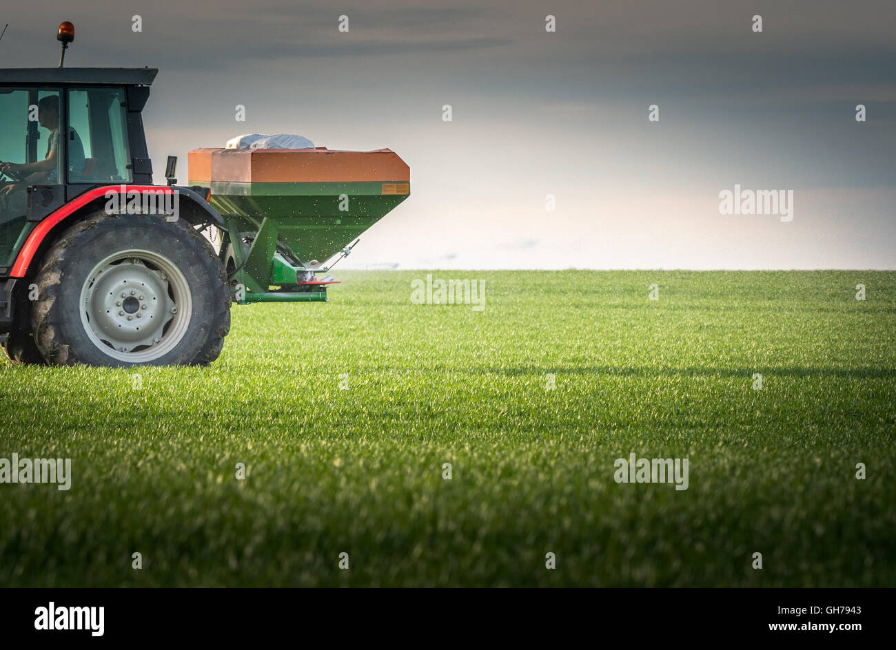 tractor fertilizing in wheat field Stock Photo - Alamy