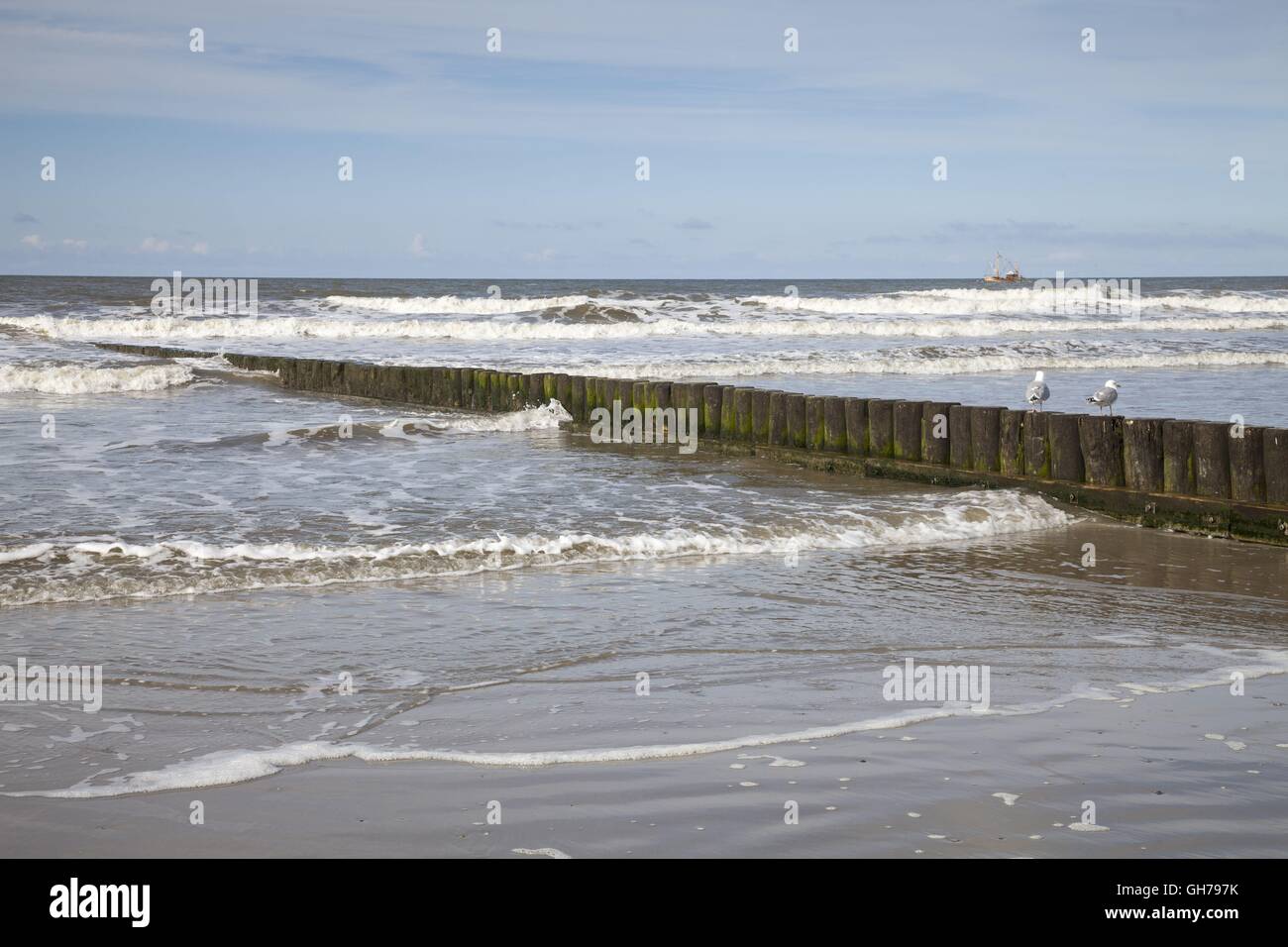 geography / travel, Germany, Lower Saxony, Eastern Friesland, East ...