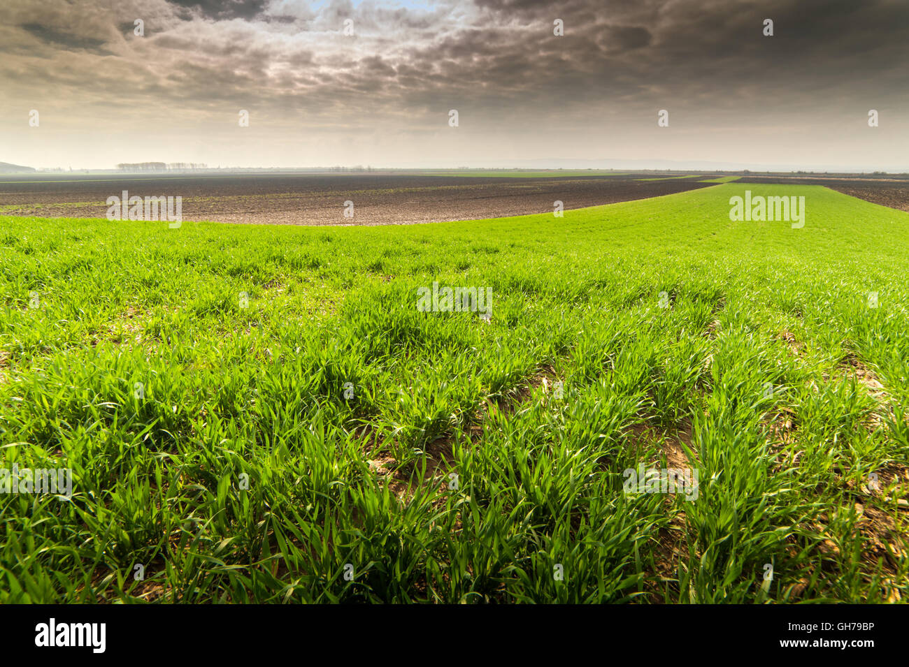 Young spring hi-res stock photography and images - Alamy