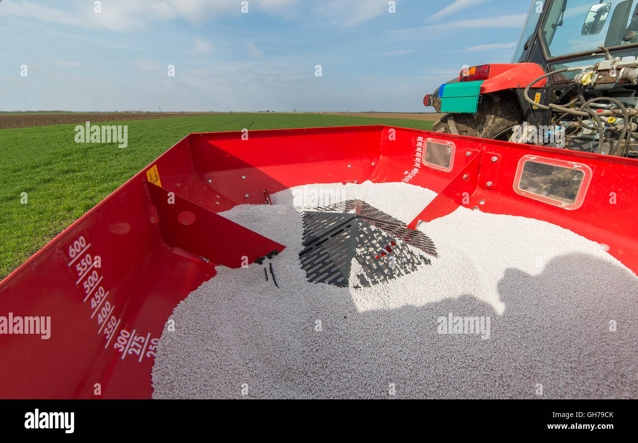 tractor fertilizing in wheat field Stock Photo - Alamy
