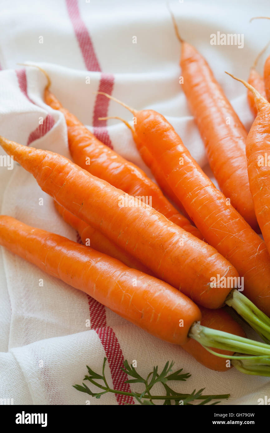 Wet carrot hi-res stock photography and images - Alamy