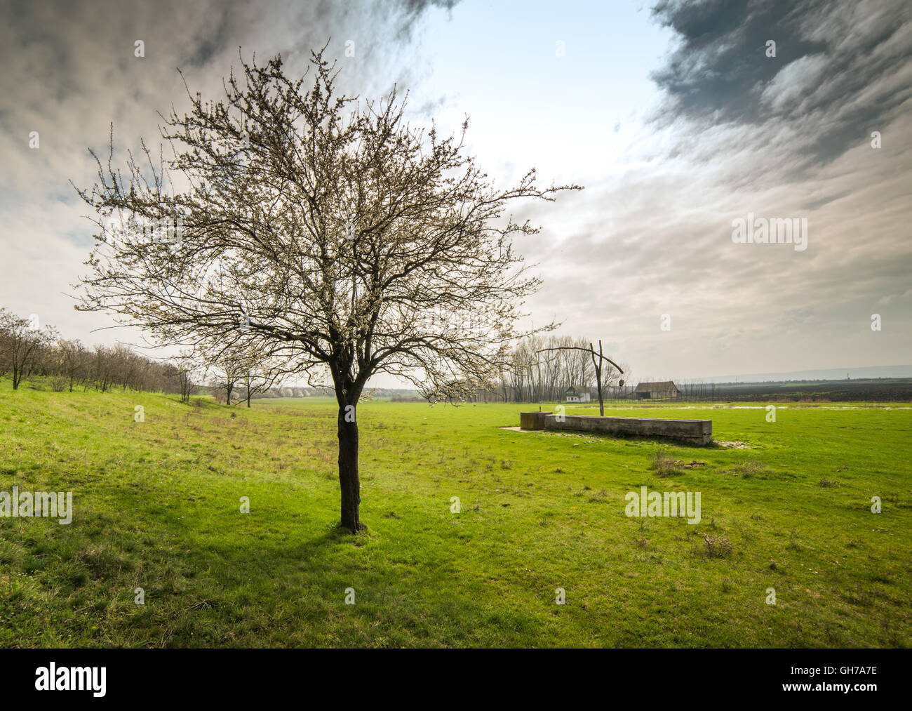 Shadoof hi-res stock photography and images - Alamy