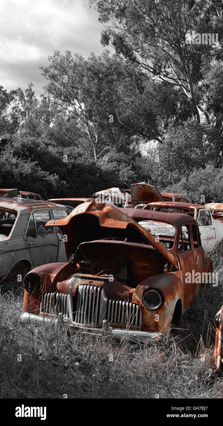 Holden Stock Photos & Holden Stock Images - Alamy