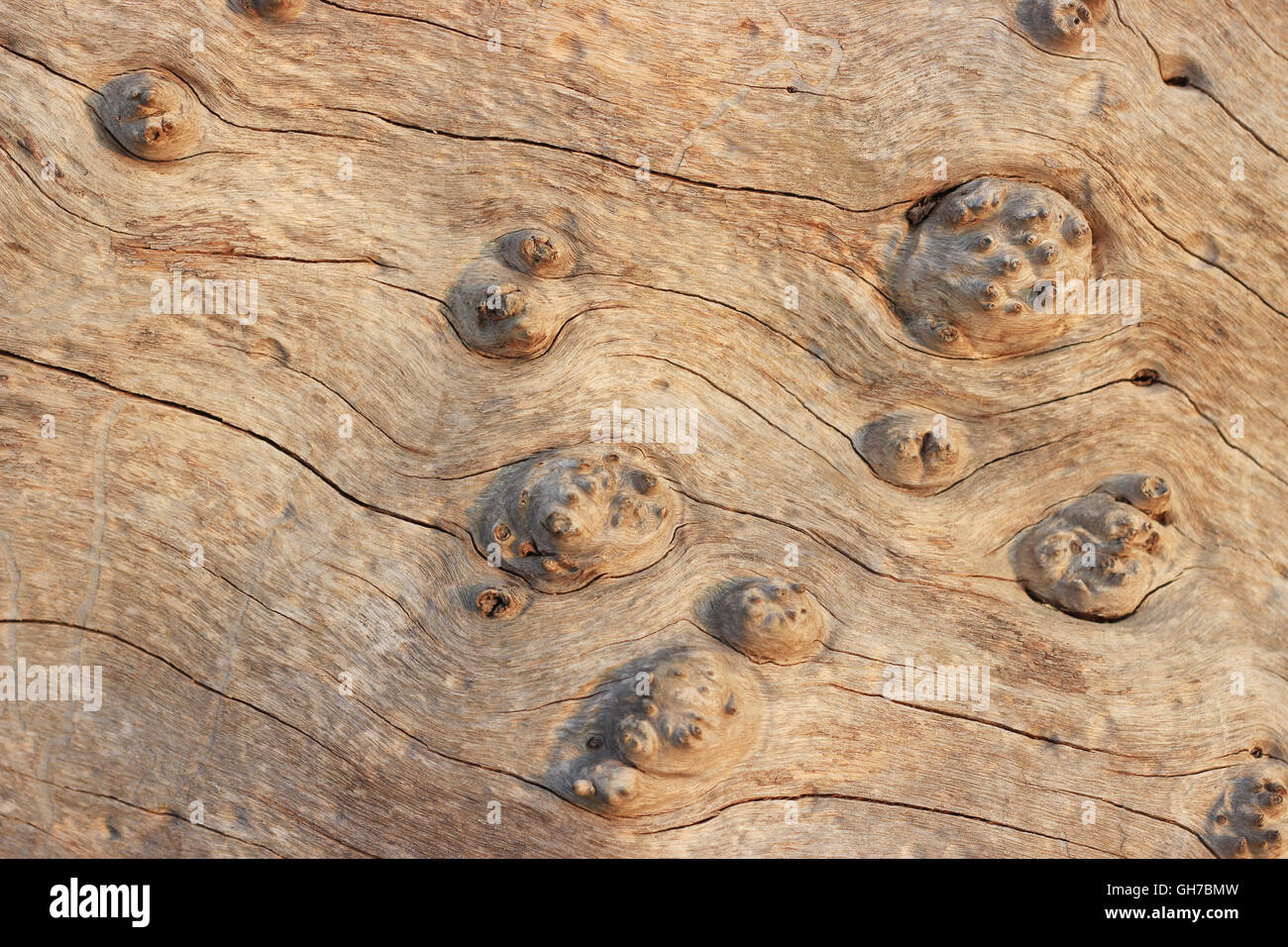 Dry cracked wood background texture pattern Stock Photo - Alamy