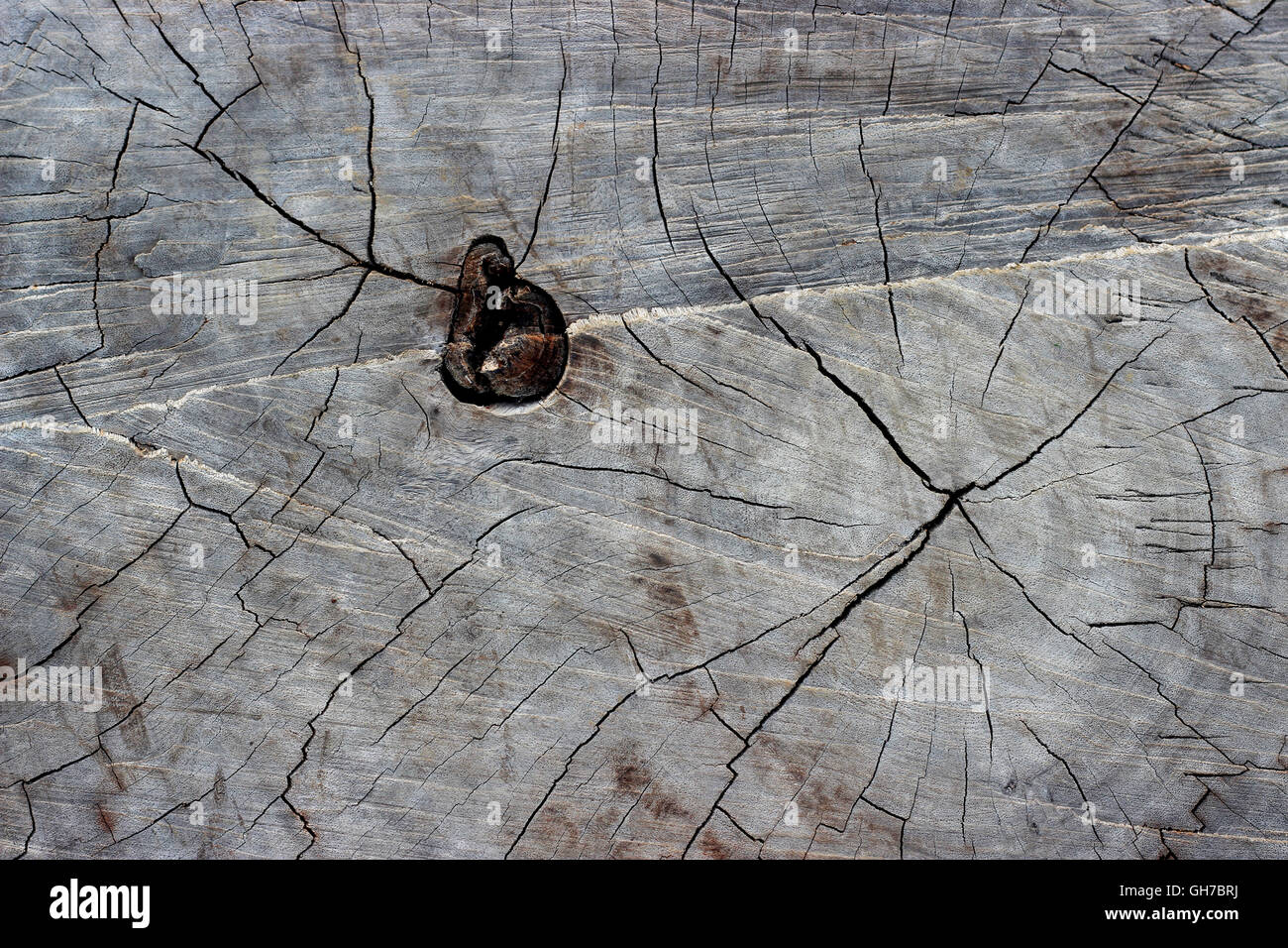 Dry cracked wood background texture pattern Stock Photo - Alamy