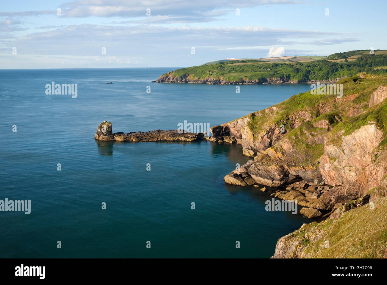 Berry head hi-res stock photography and images - Alamy