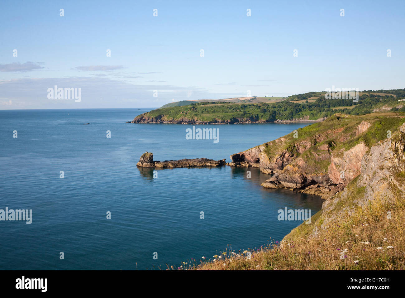 coastal scene at berry head brixham devon with blue sky and blue sea ...