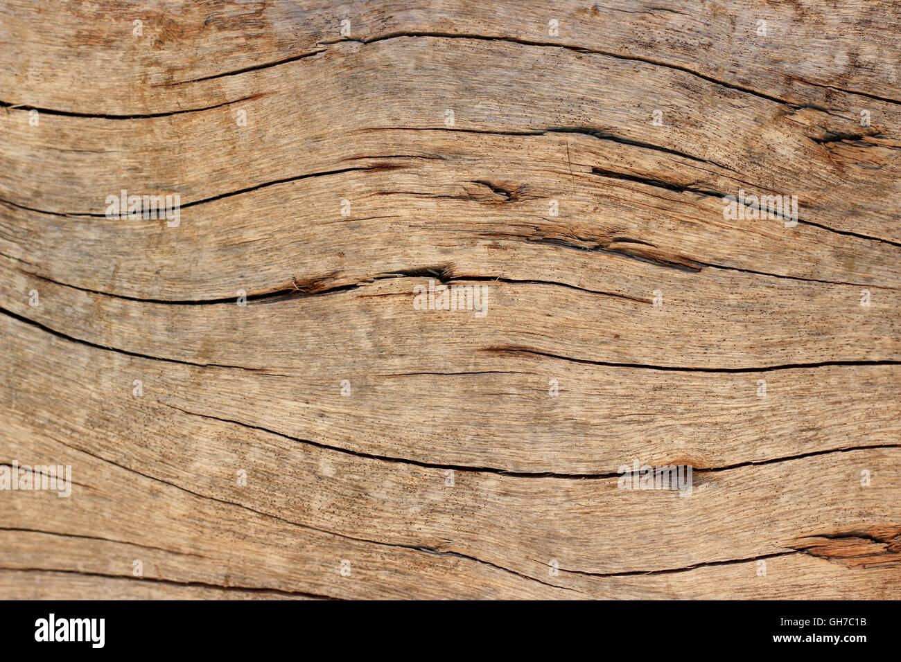 Dry cracked wood background texture pattern Stock Photo - Alamy