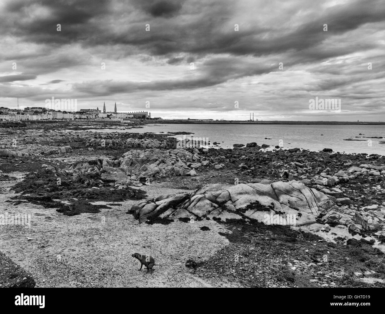 Sandycove beach view in monochrome Stock Photo - Alamy