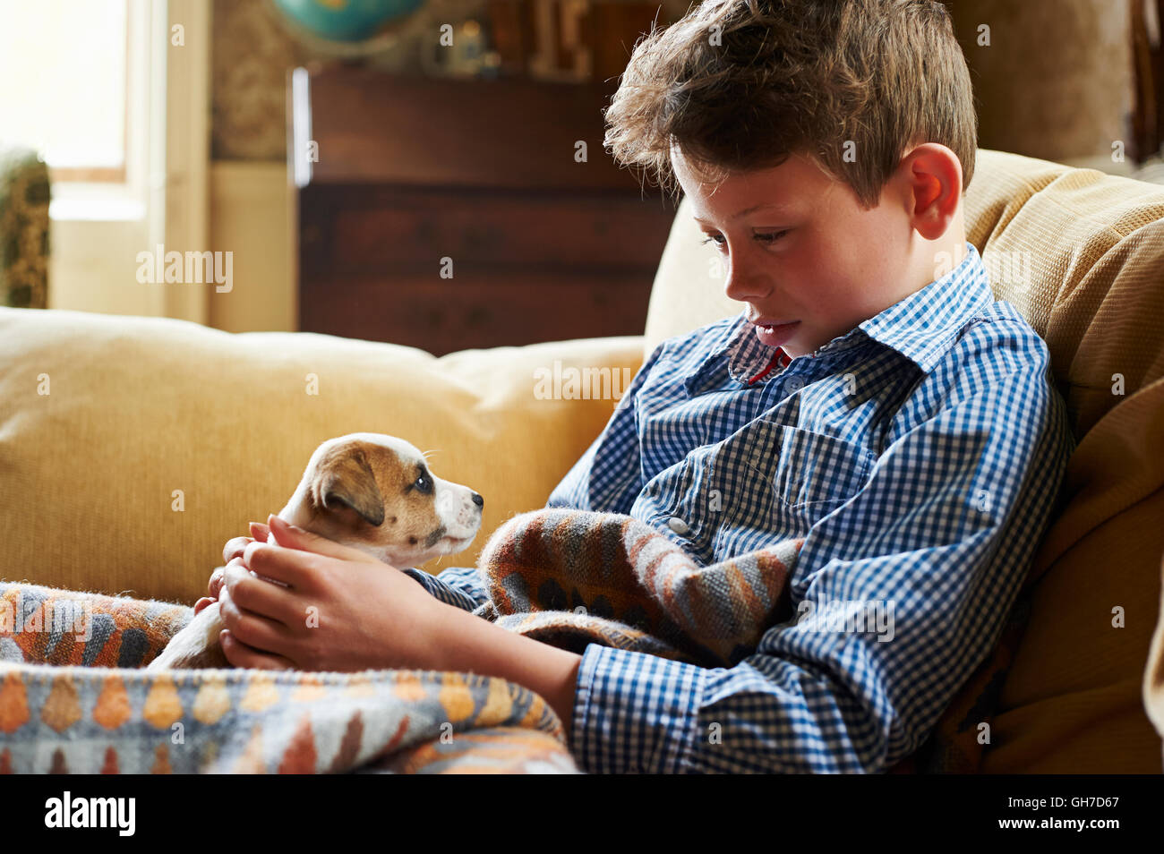 Boy with dog on lap hi-res stock photography and images - Alamy