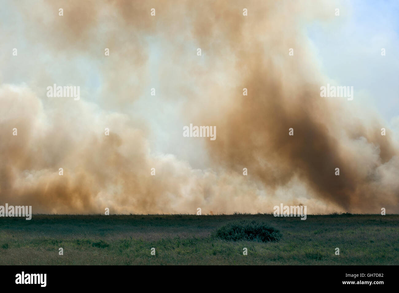 Savanna fire hi-res stock photography and images - Alamy