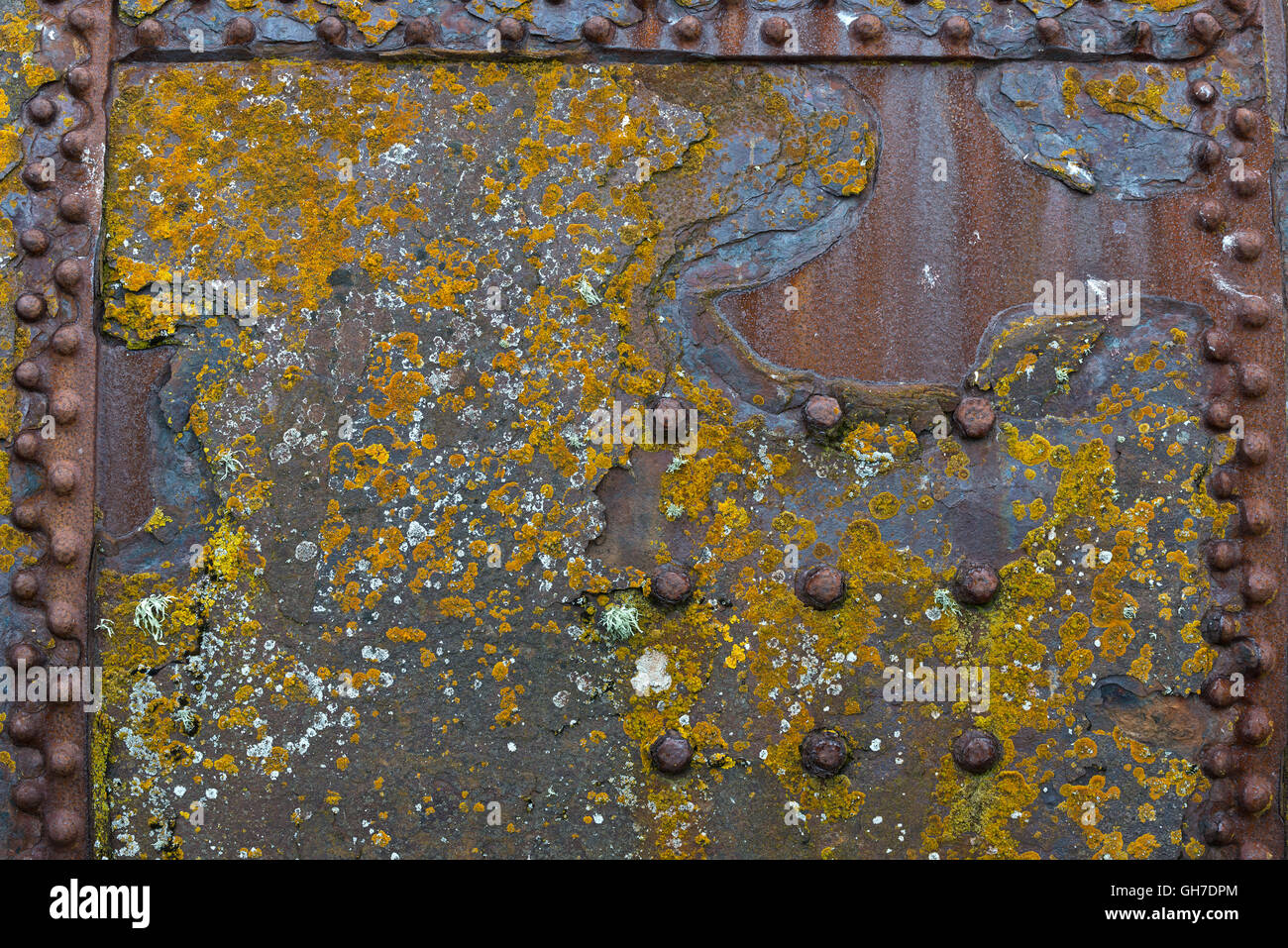 Rusted boiler abandoned on the hillside at the former whaling station ...