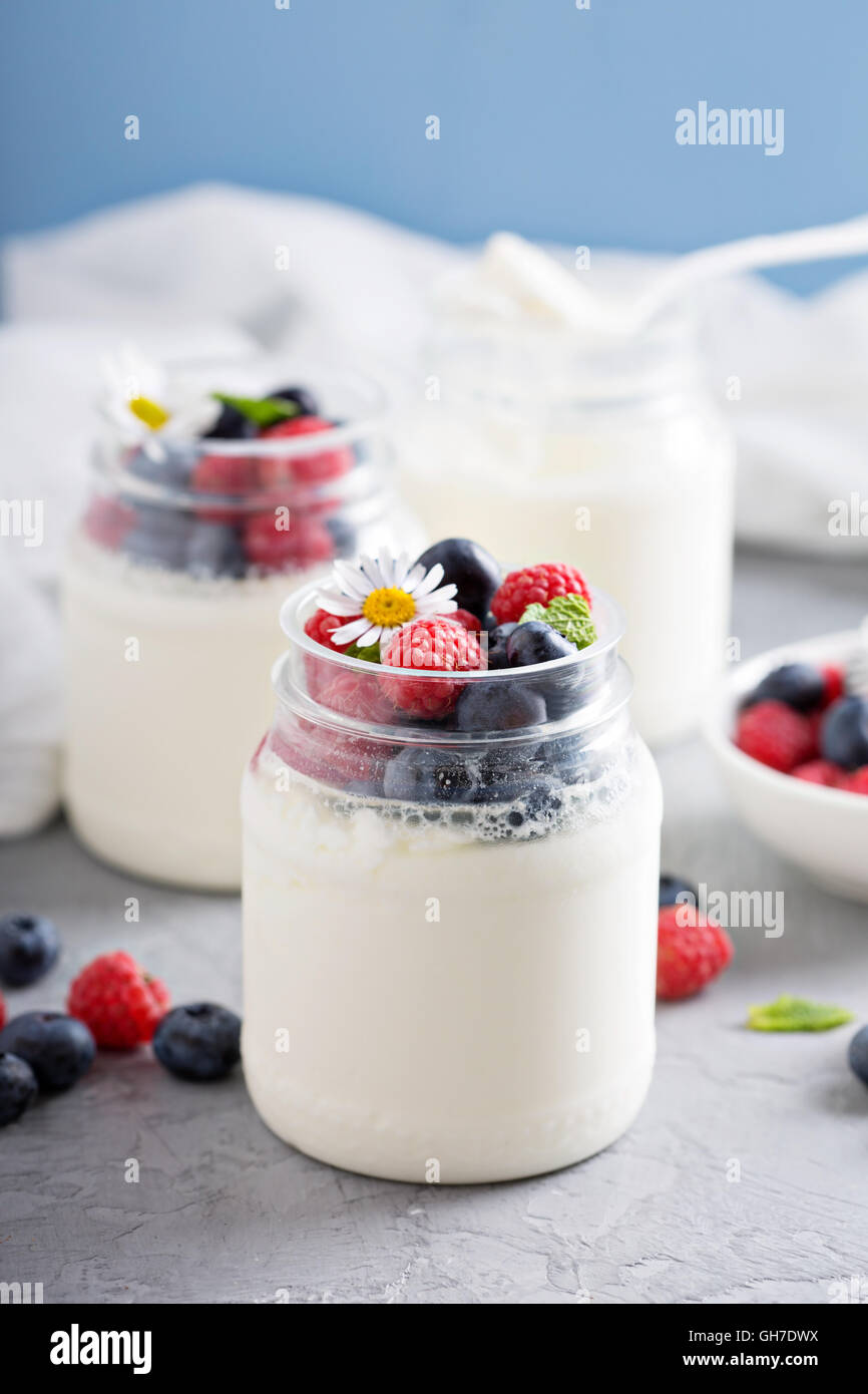 Fresh homemade yogurt in small jars Stock Photo - Alamy