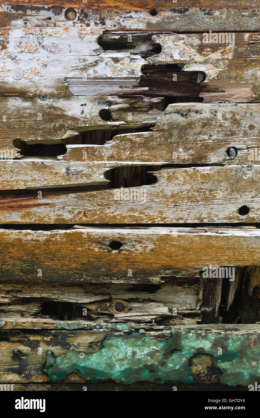 Cracked planks and corroded copper plating on the wreck of Protector ...