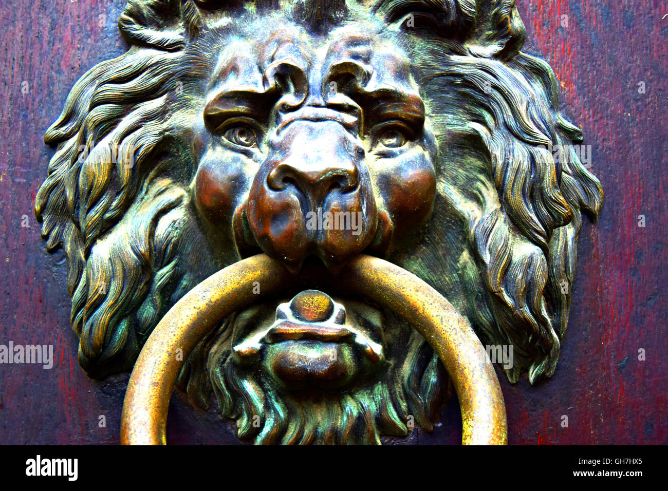 Lion head door heck Stock Photo - Alamy