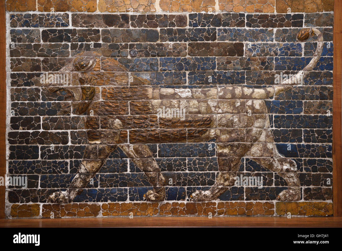 Glazed brick wall relief of lion from the 6th century BC neo Babylonian ...