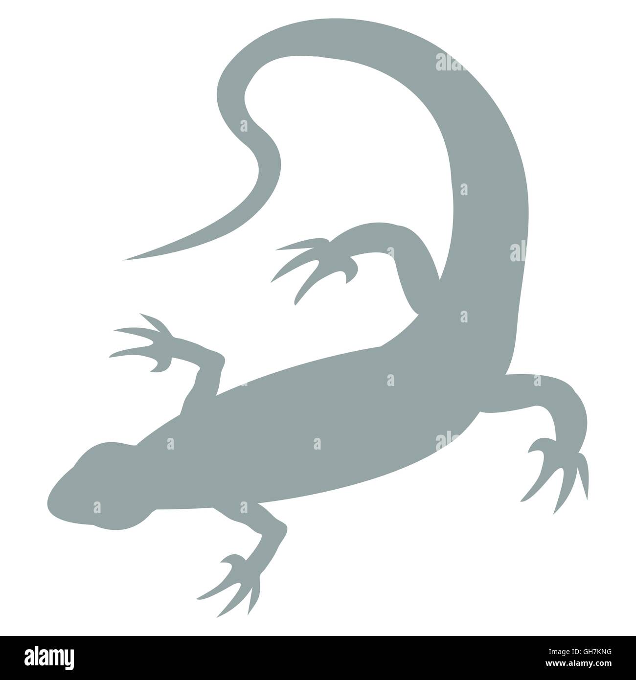 Stylized icon of a colored lizard on a white background Stock Vector ...