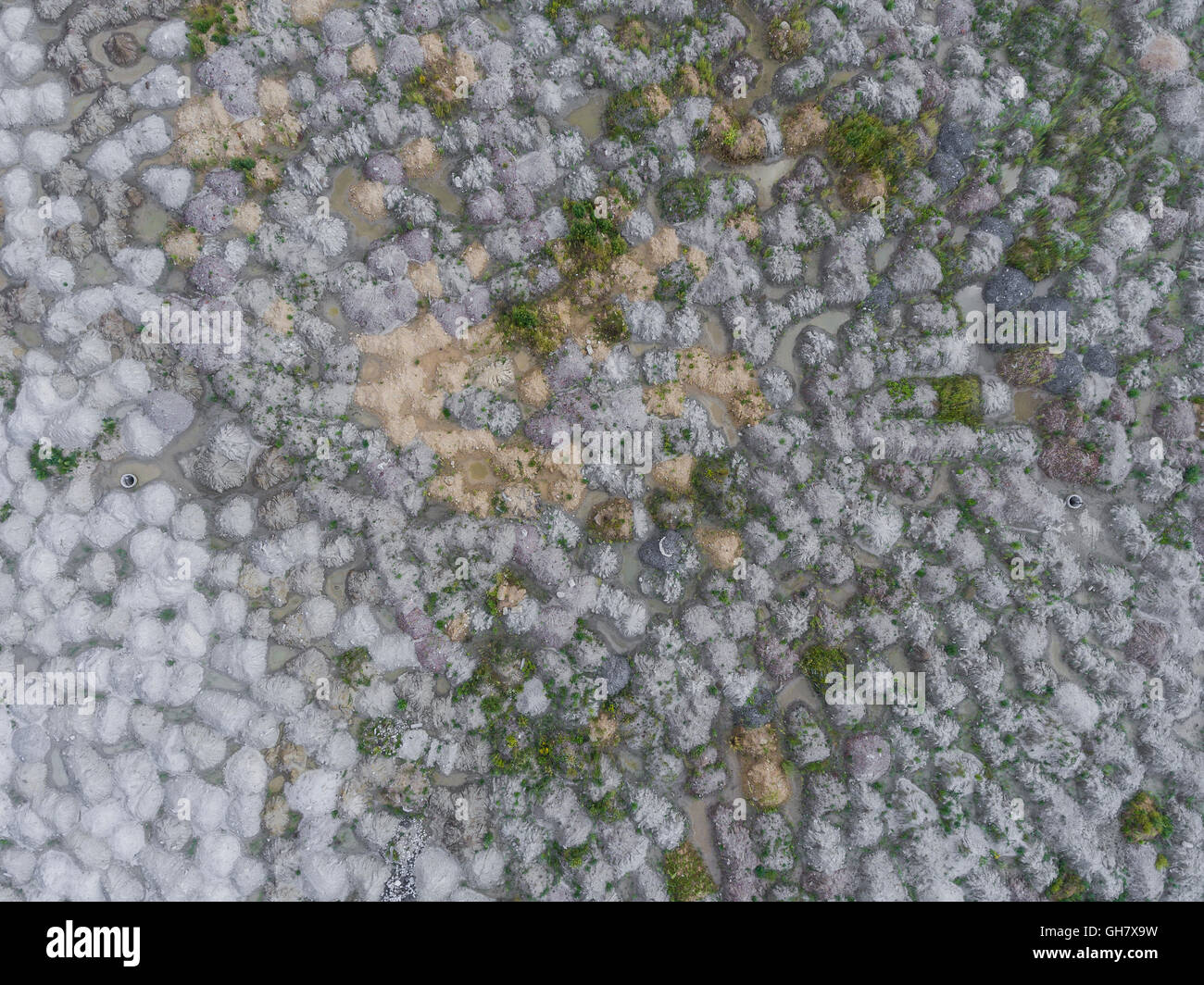 Draff bin hi-res stock photography and images - Alamy