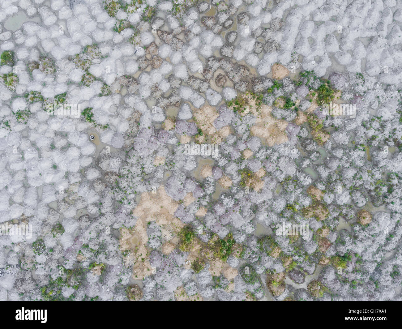 Draff bin hi-res stock photography and images - Alamy