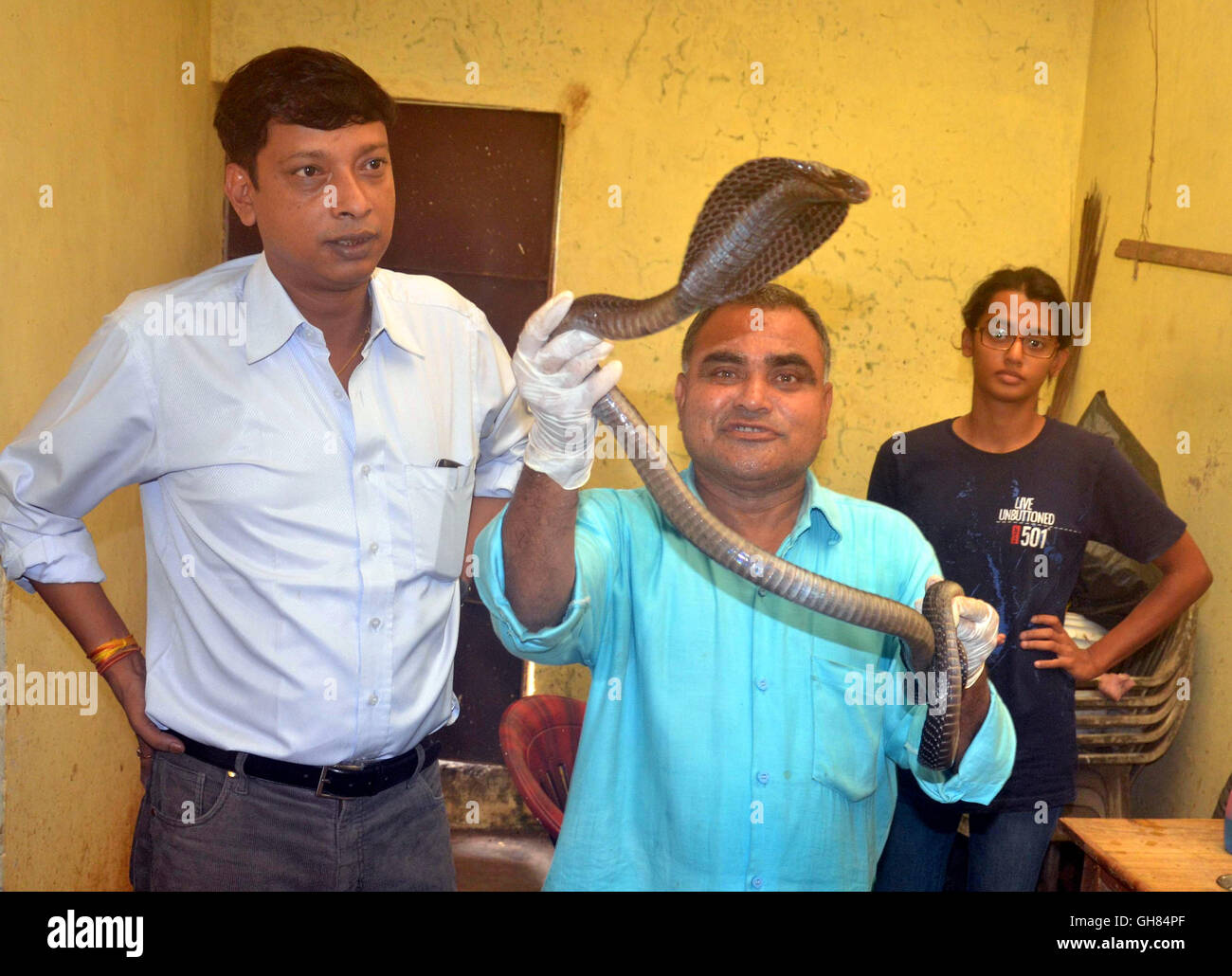 Bhopal, India. 8th Aug, 2016. A veterinarian shows an injured king ...
